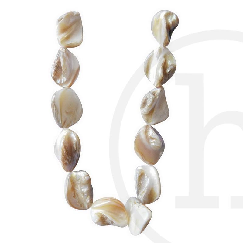River Shell Tooth Shape Natural Beads | Michaels
