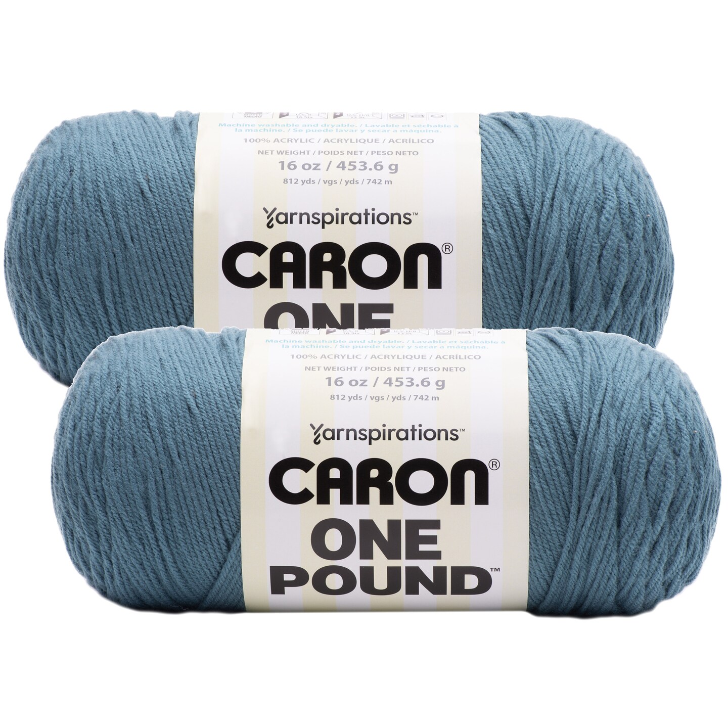 (Pack of 2) Caron One Pound Yarn-Canal | Michaels
