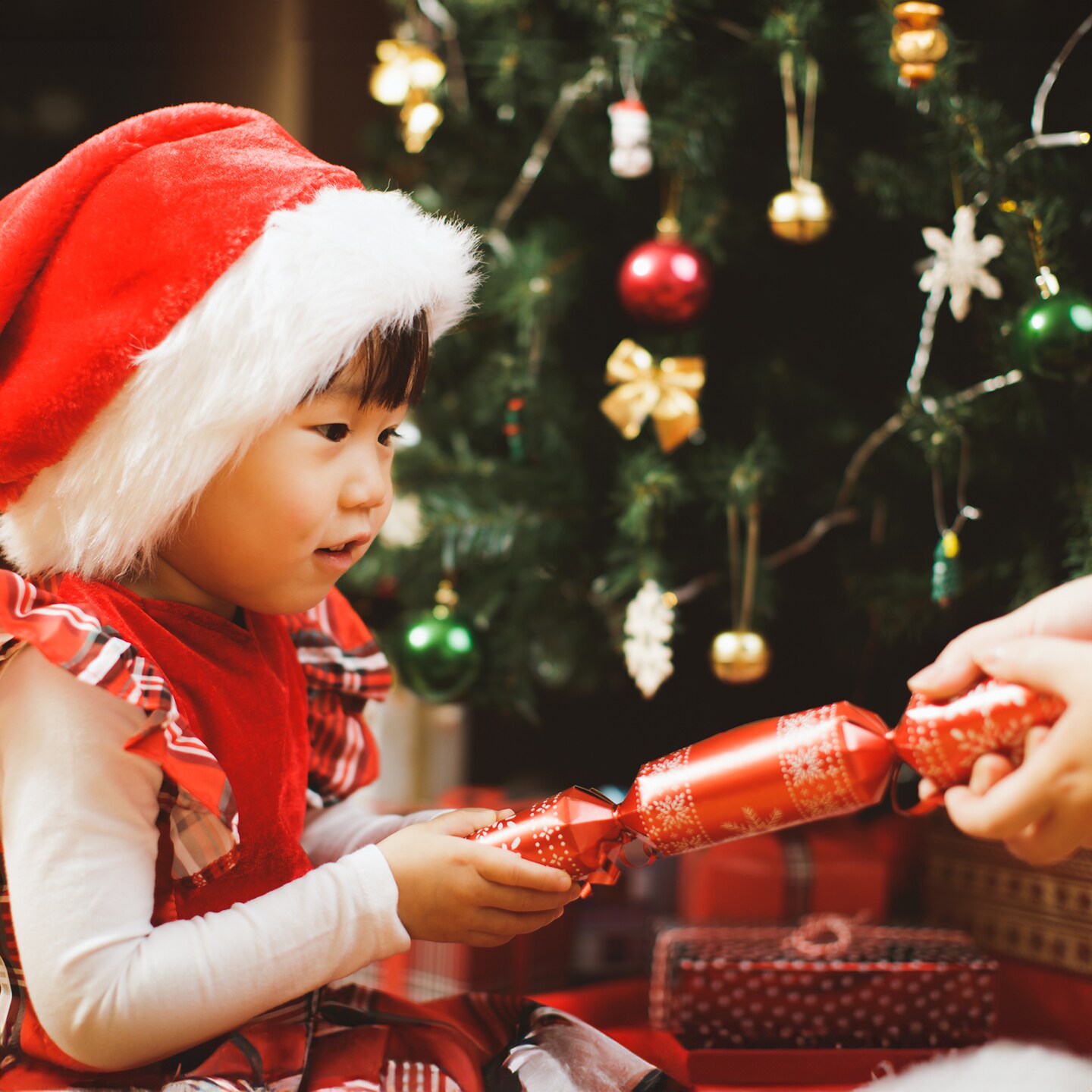 Fill your own Christmas Crackers Kit, 6 DIY Christmas Crackers complete ...