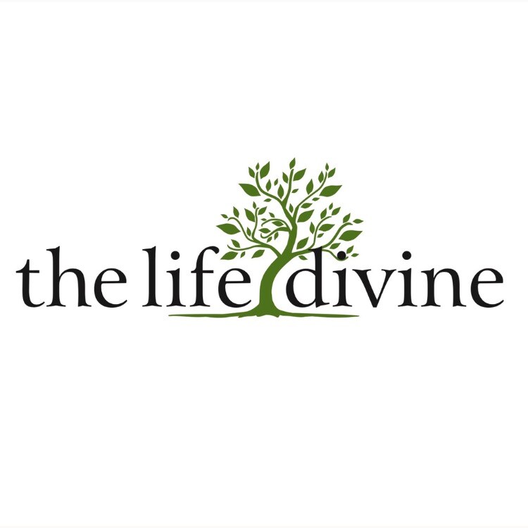 The Life Divine | Storefront | Michaels