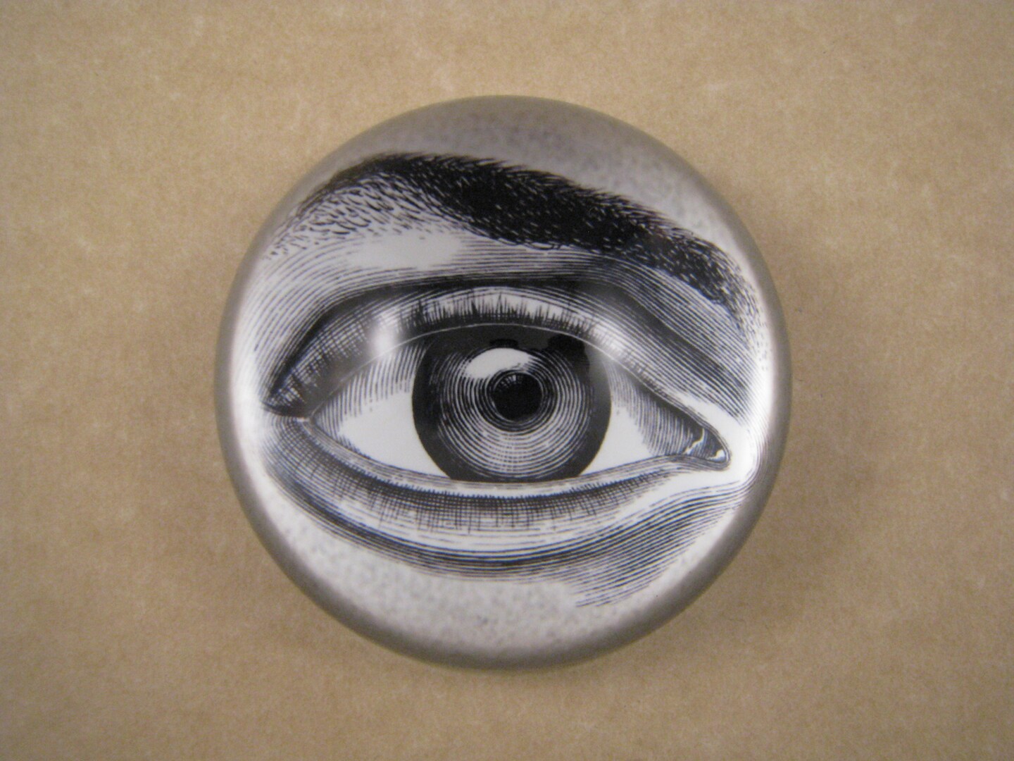 Medium Glass Dome, Left Eye Paperweight, Eye Art, Eye Illustration ...