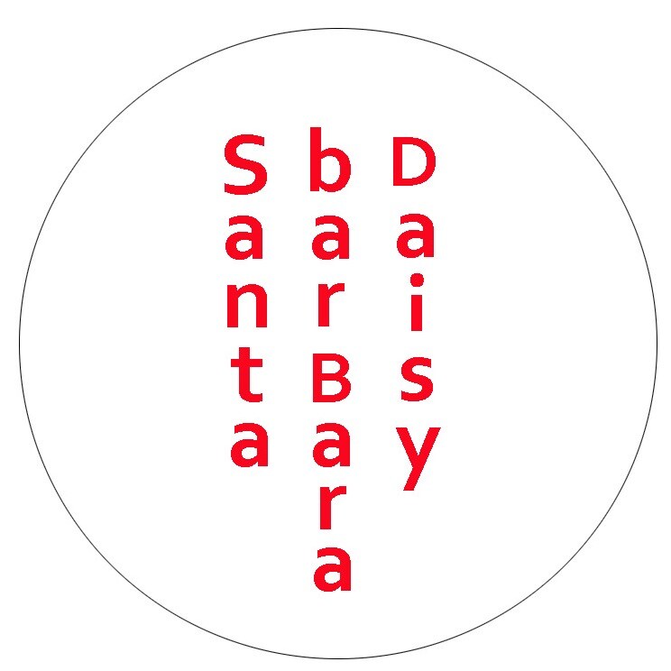 SBD daily designs | Storefront | Michaels