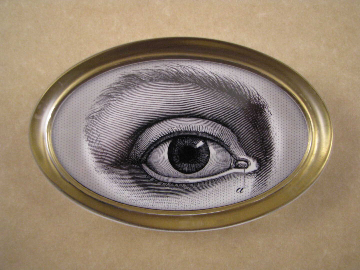 Left Eye A Paperweight, Eye Art, Eye Illustration, Glass Paperweight ...
