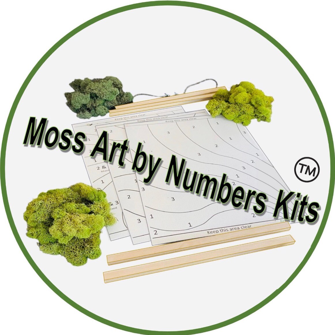 Moss Art by Numbers | Storefront | Michaels