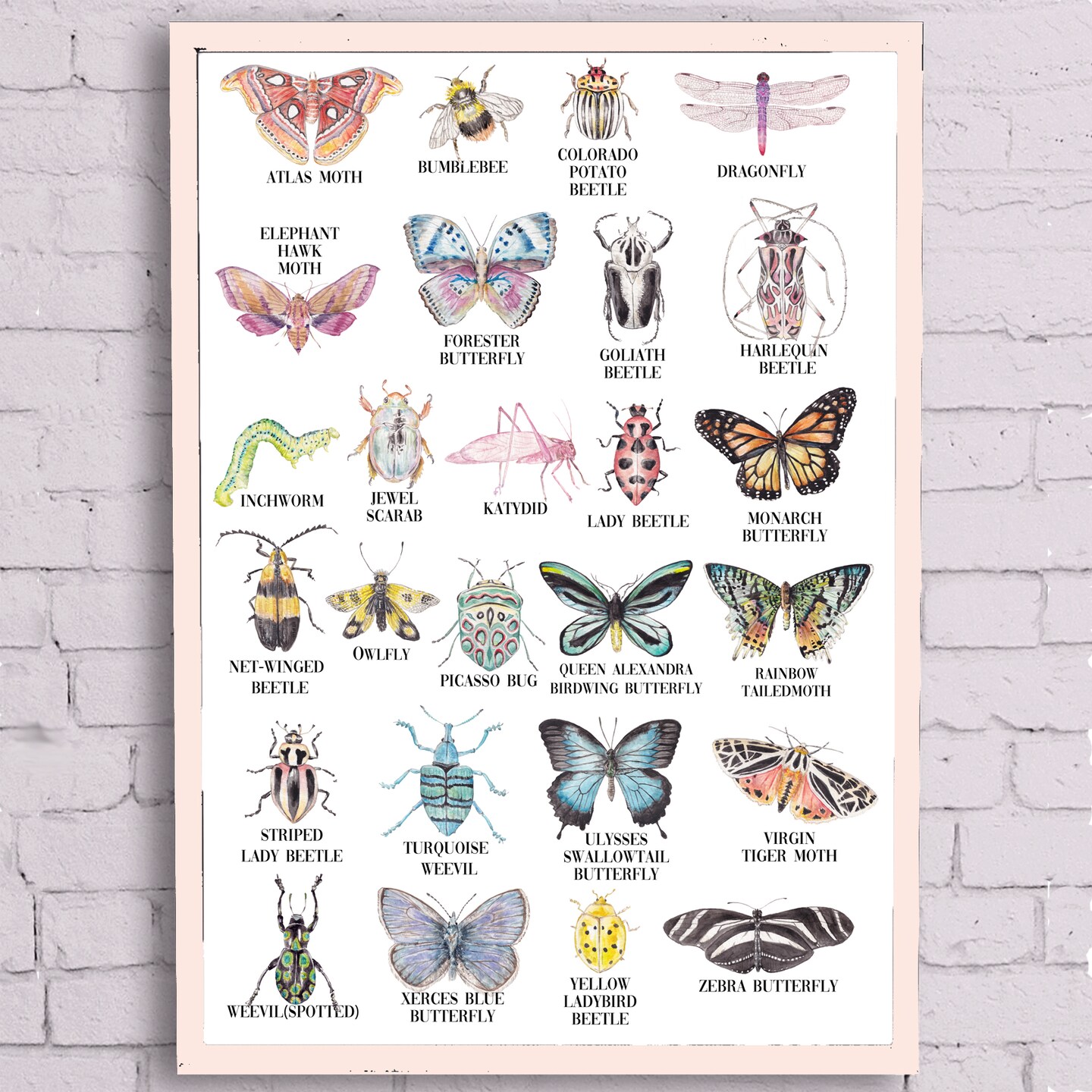 ABC Insects Watercolor Alphabet Poster | MakerPlace by Michaels