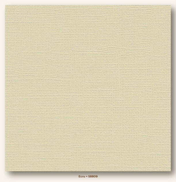 Ecru Canvas Textured My Colors Cardstock - Photoplay | Michaels