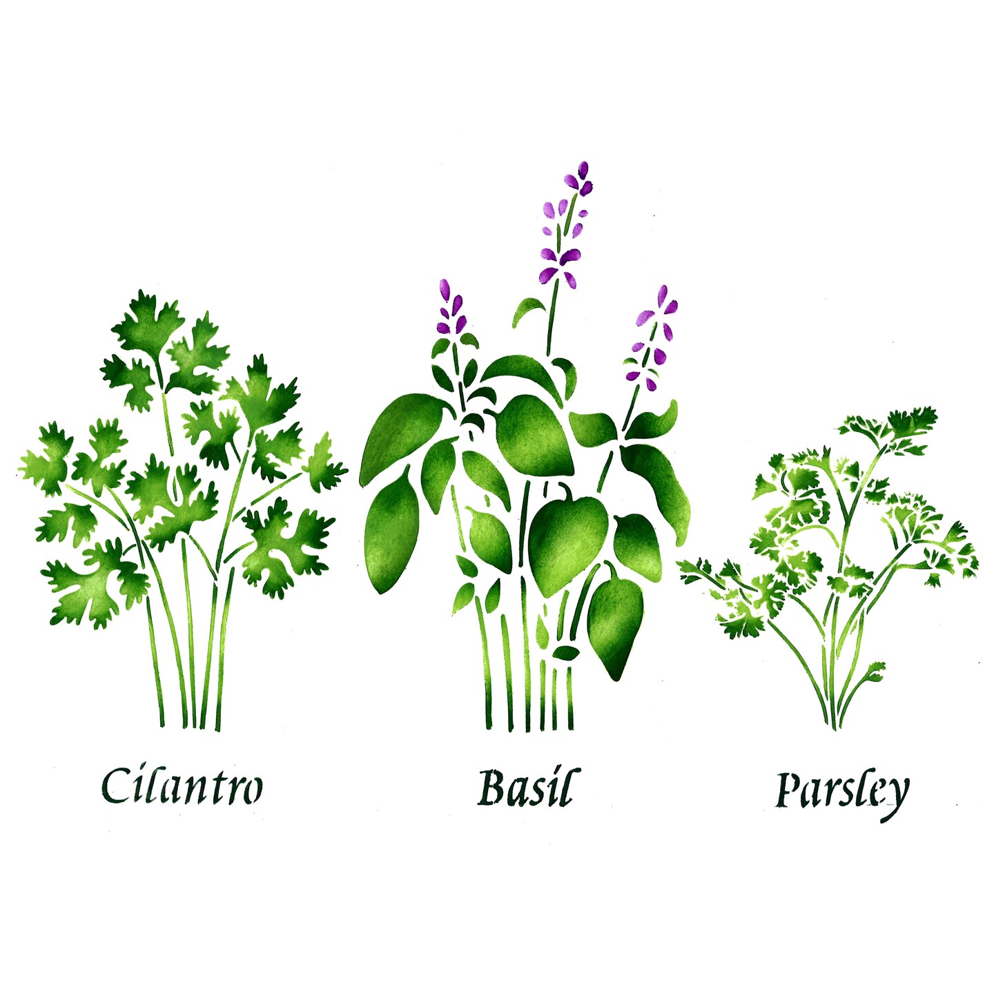 Large Standing Herbs: Cilantro, Basil, Parsley Wall Stencil | 3718 by ...