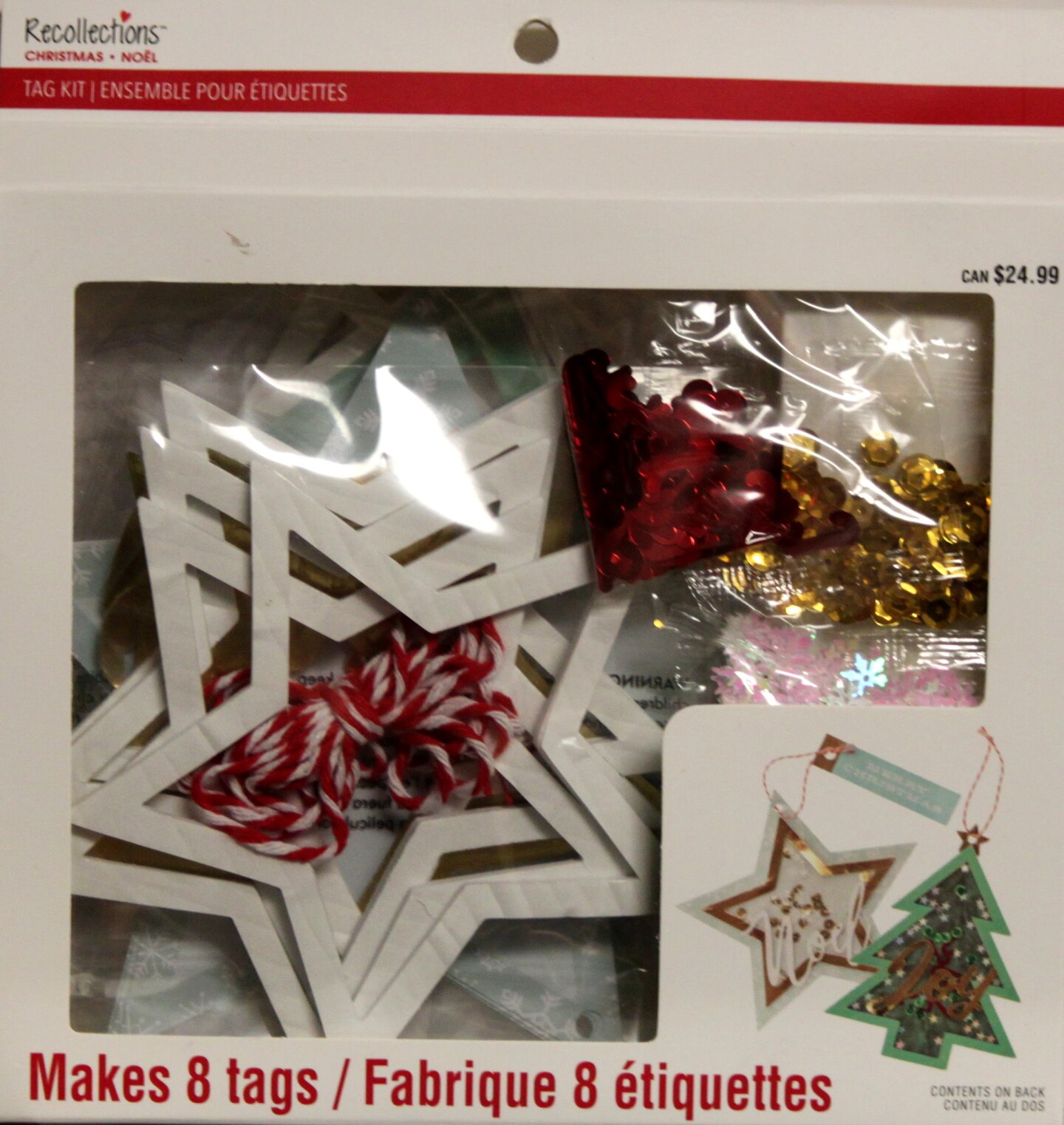 Recollections Christmas Shaker Tag Kit | Michaels
