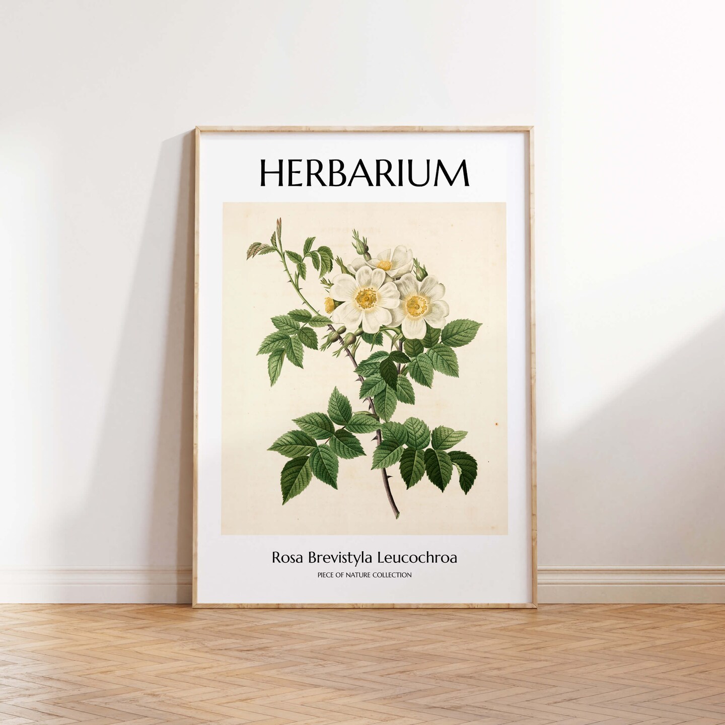 Flower Poster White Rose Vintage Poster Aesthetic Room Decor Retro ...