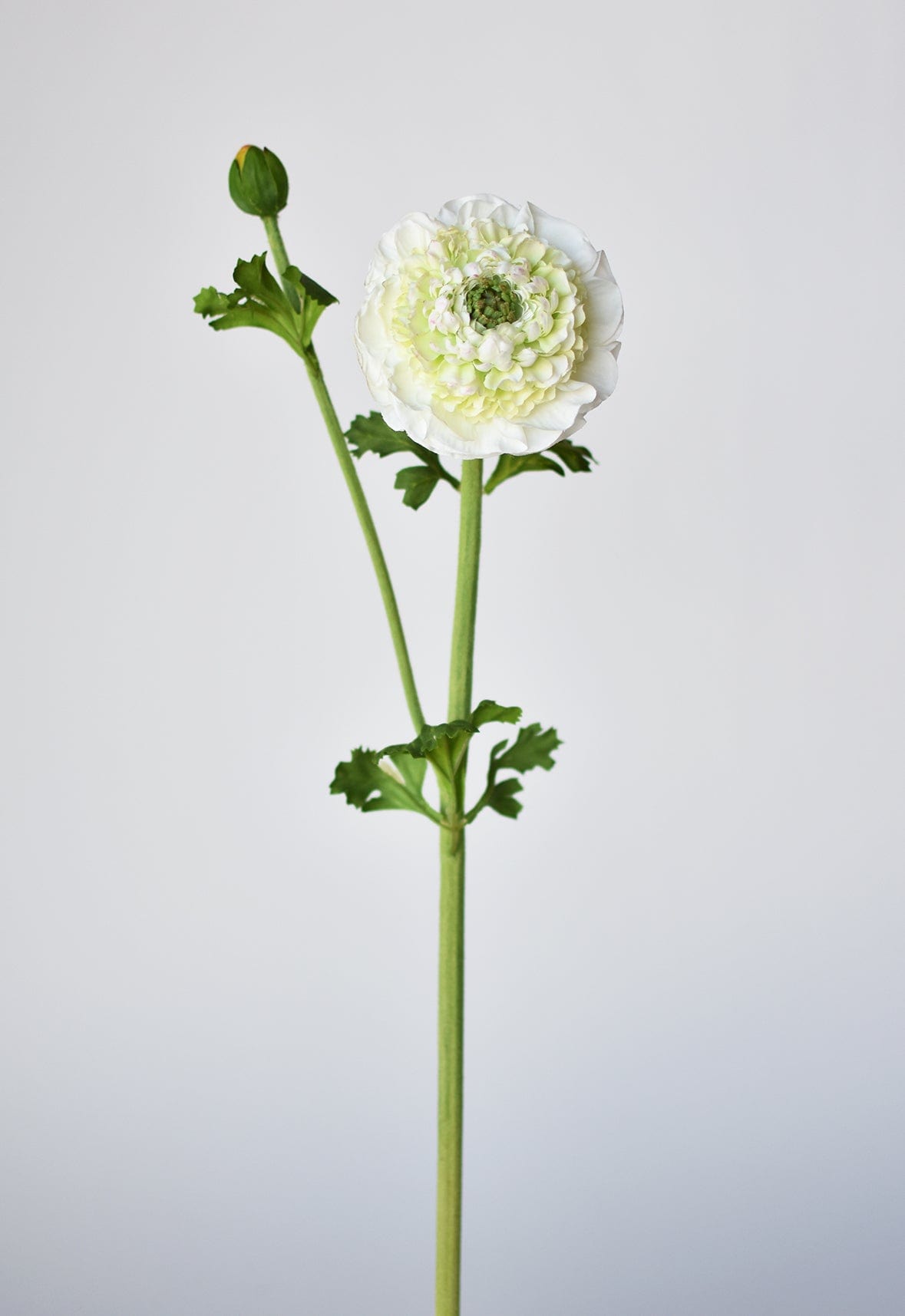 21" Faux Double Ruffled Ranunculus Stem White | Michaels