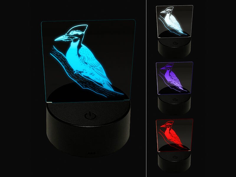 Pileated Woodpecker Bird on Branch 3D Illusion LED Night Light Sign ...
