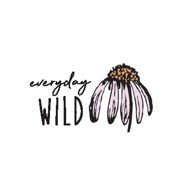 Everyday Wild | Storefront | Michaels