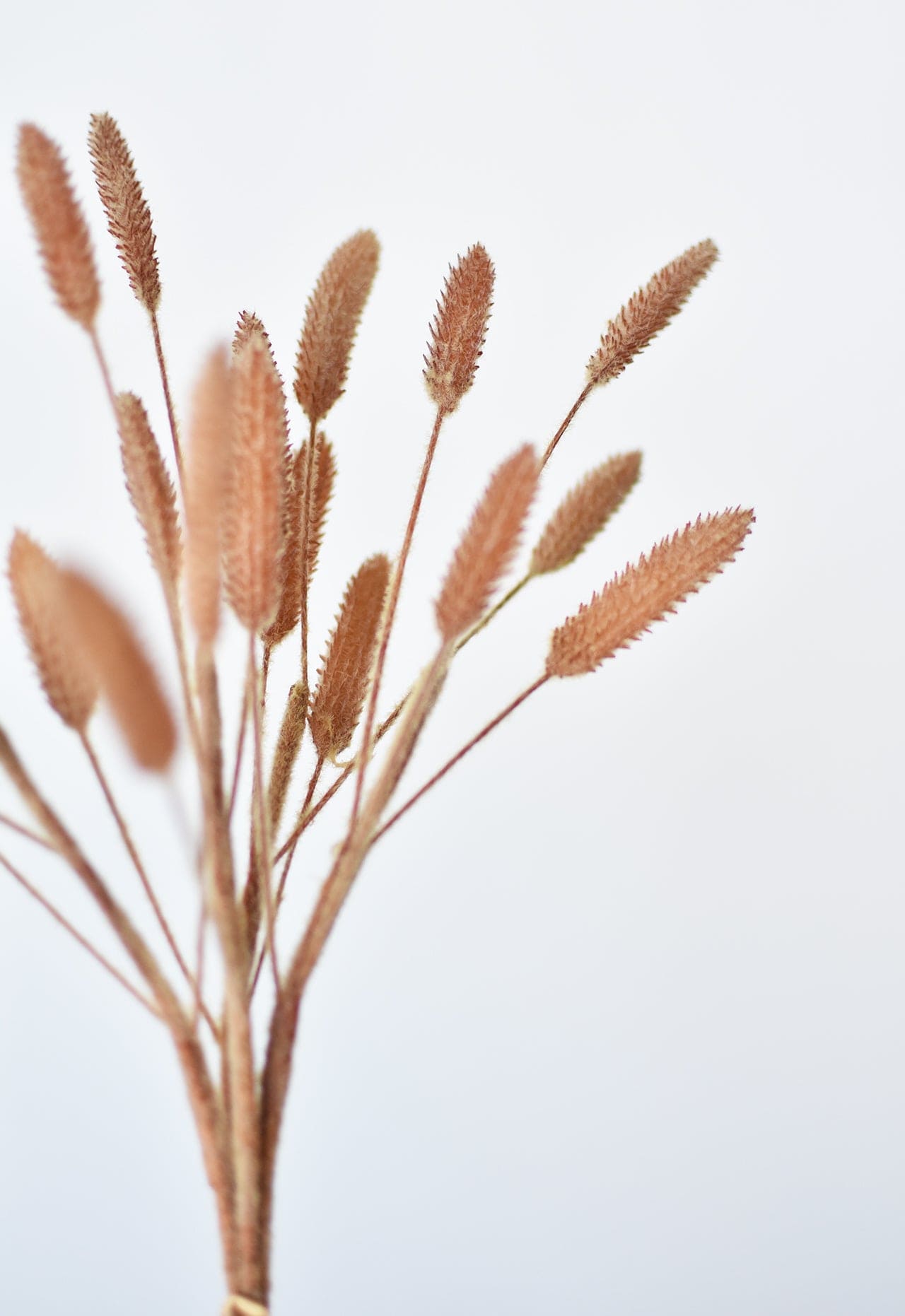 12.5" Faux Brown Reed Bundle | Michaels