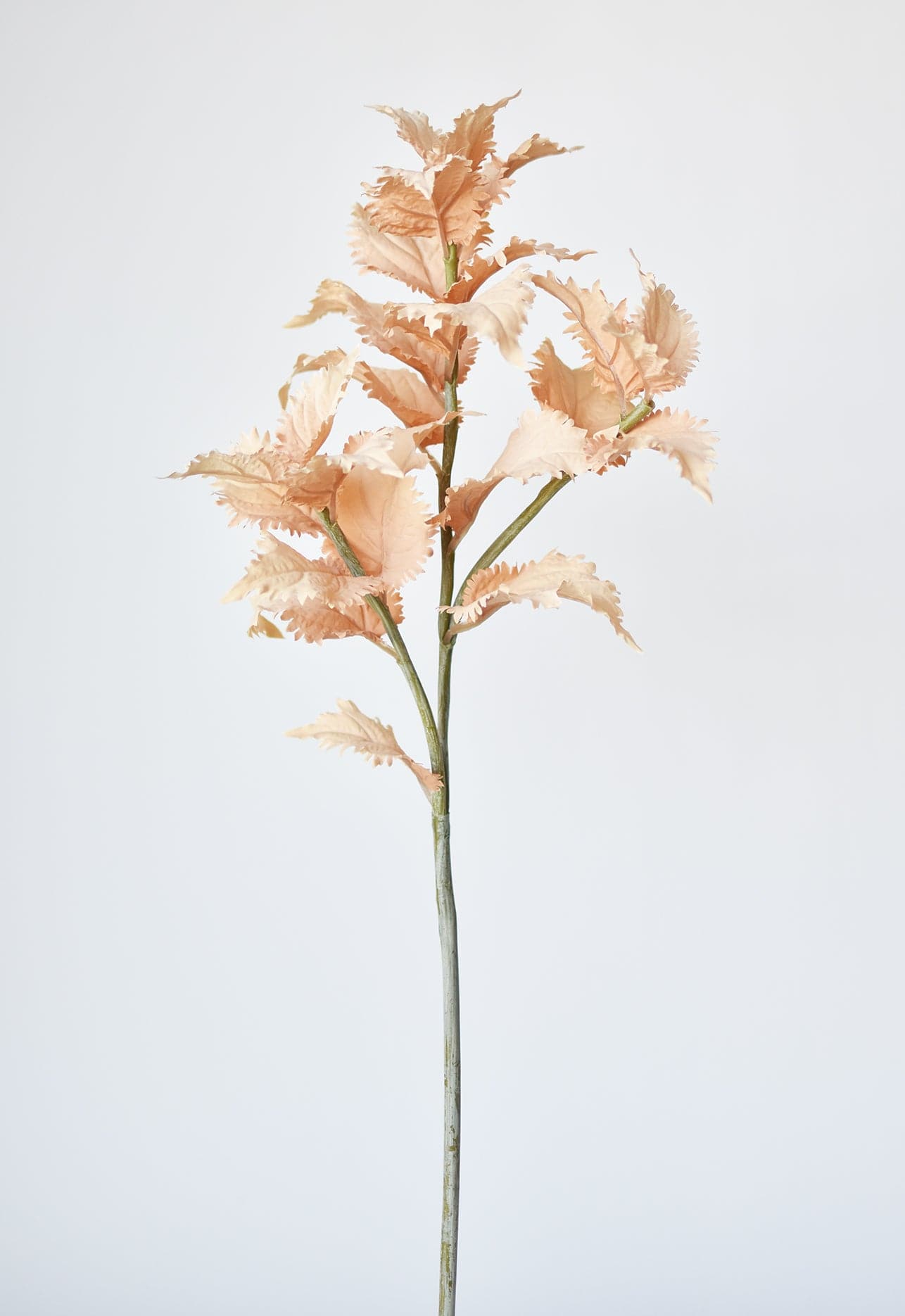 31" Faux Dusty Peach Coleus Stem | Fall Floral Stems | Michaels