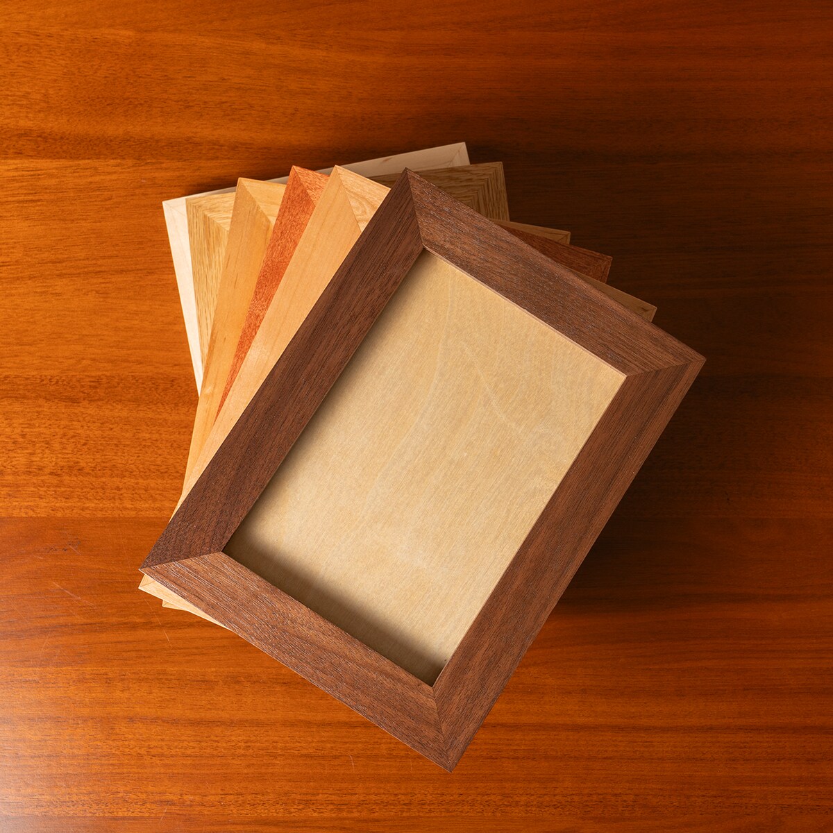 Picture Frames - Kodachrome | MakerPlace by Michaels