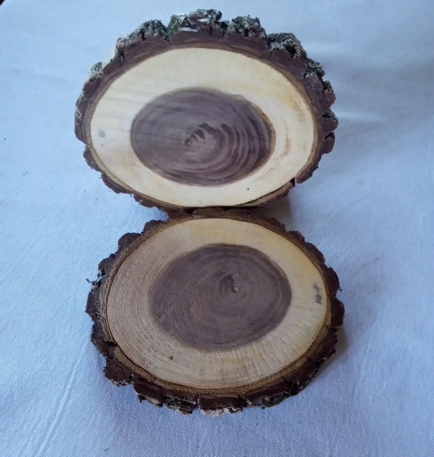 Walnut Wood Slices MakerPlace by Michaels