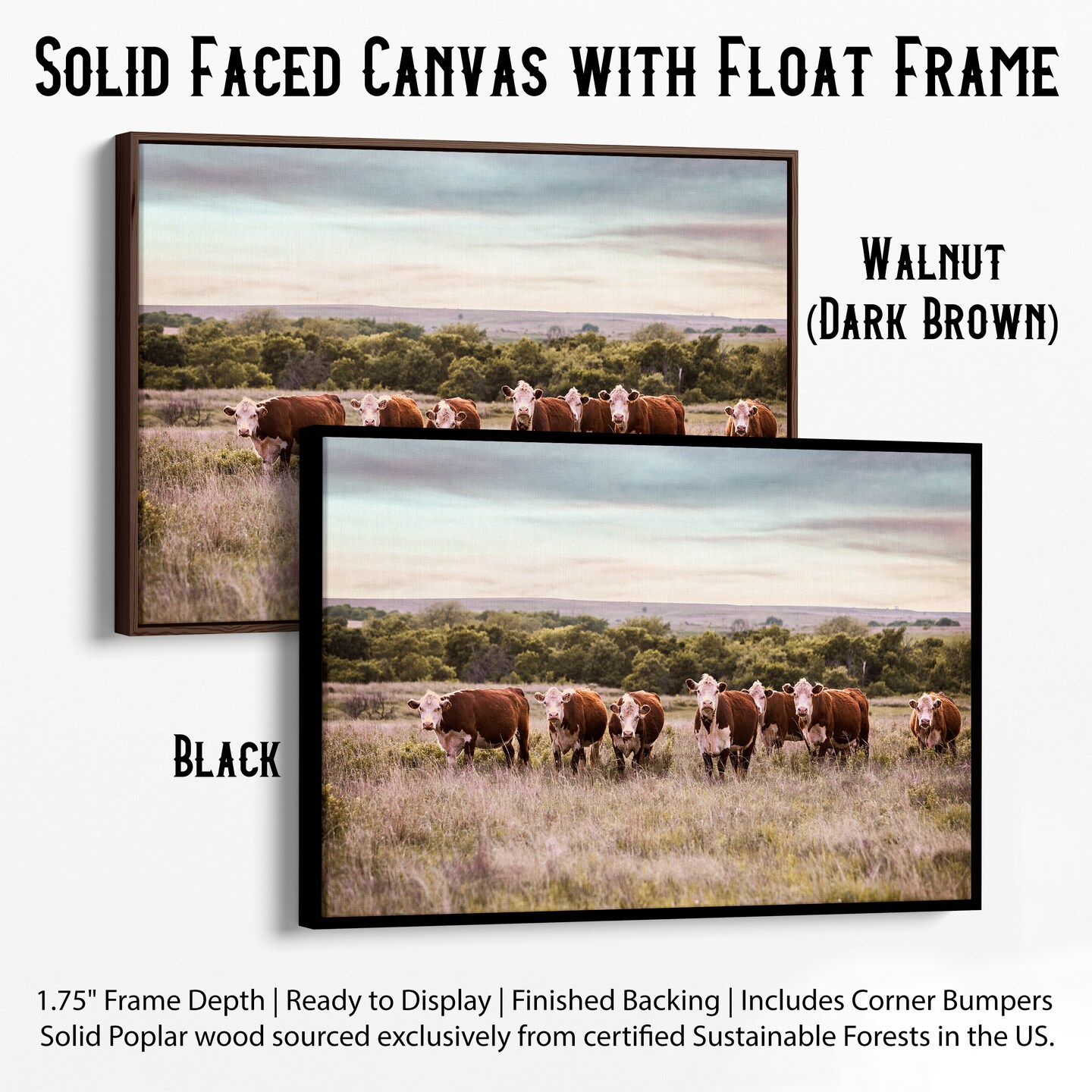 Large wall art, ranch style home decor, large cow canvas, cattle photo ...