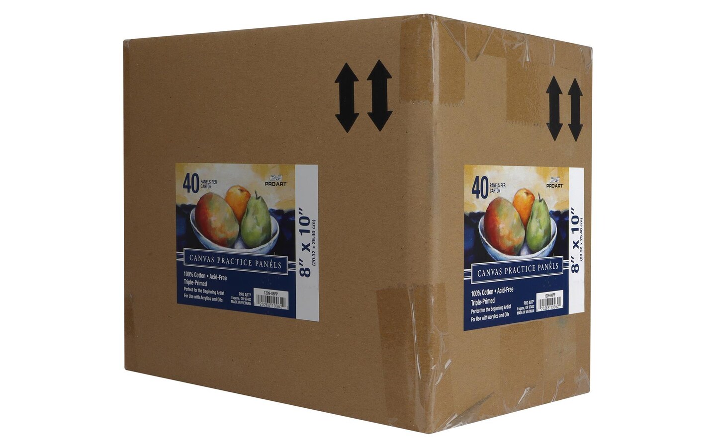 Pro Art Canvas Practice Panel 8x10 40pcs | Michaels