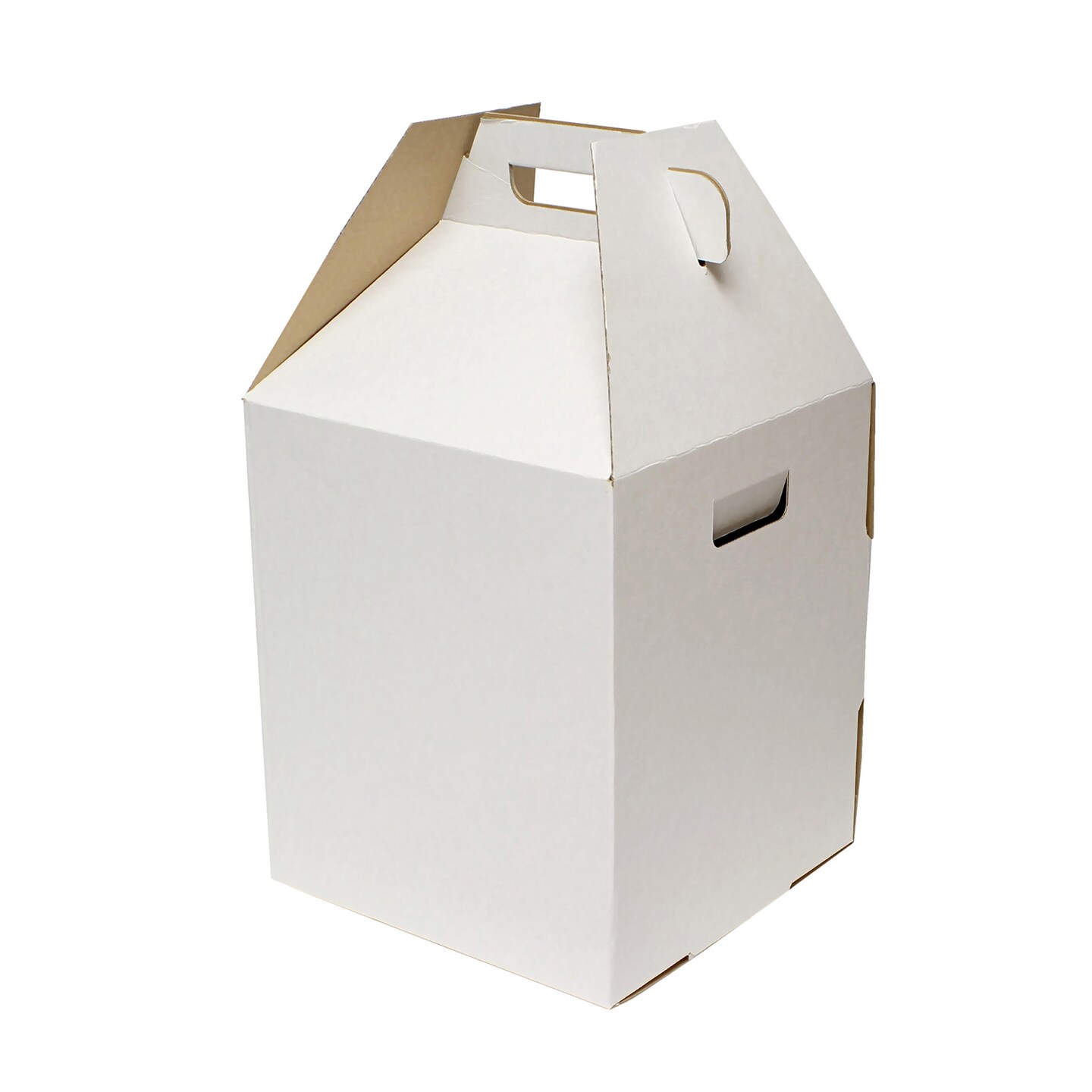 Spec101 Disposable Cake Carrier Tall Cake Caddy Deep Cake Box 10pk Michaels