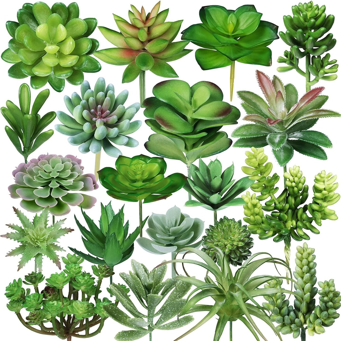 Assorted Succulents Plants 20 pcs | Michaels