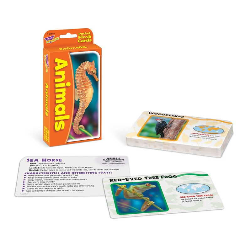 Animals Pocket Flash Cards | Michaels