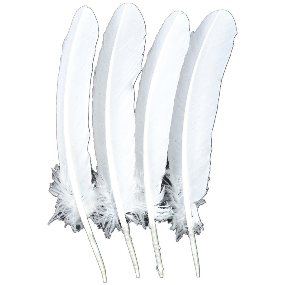 Turkey Rounds Feathers 4/Pkg | Michaels