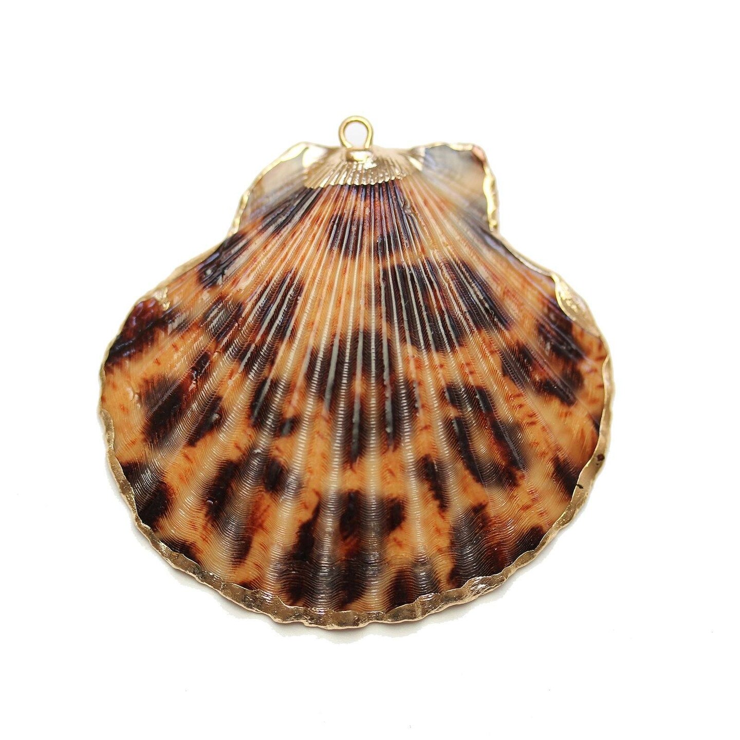 Gold Tone Edge Leopard Shell 45-50mm Pendant | Michaels