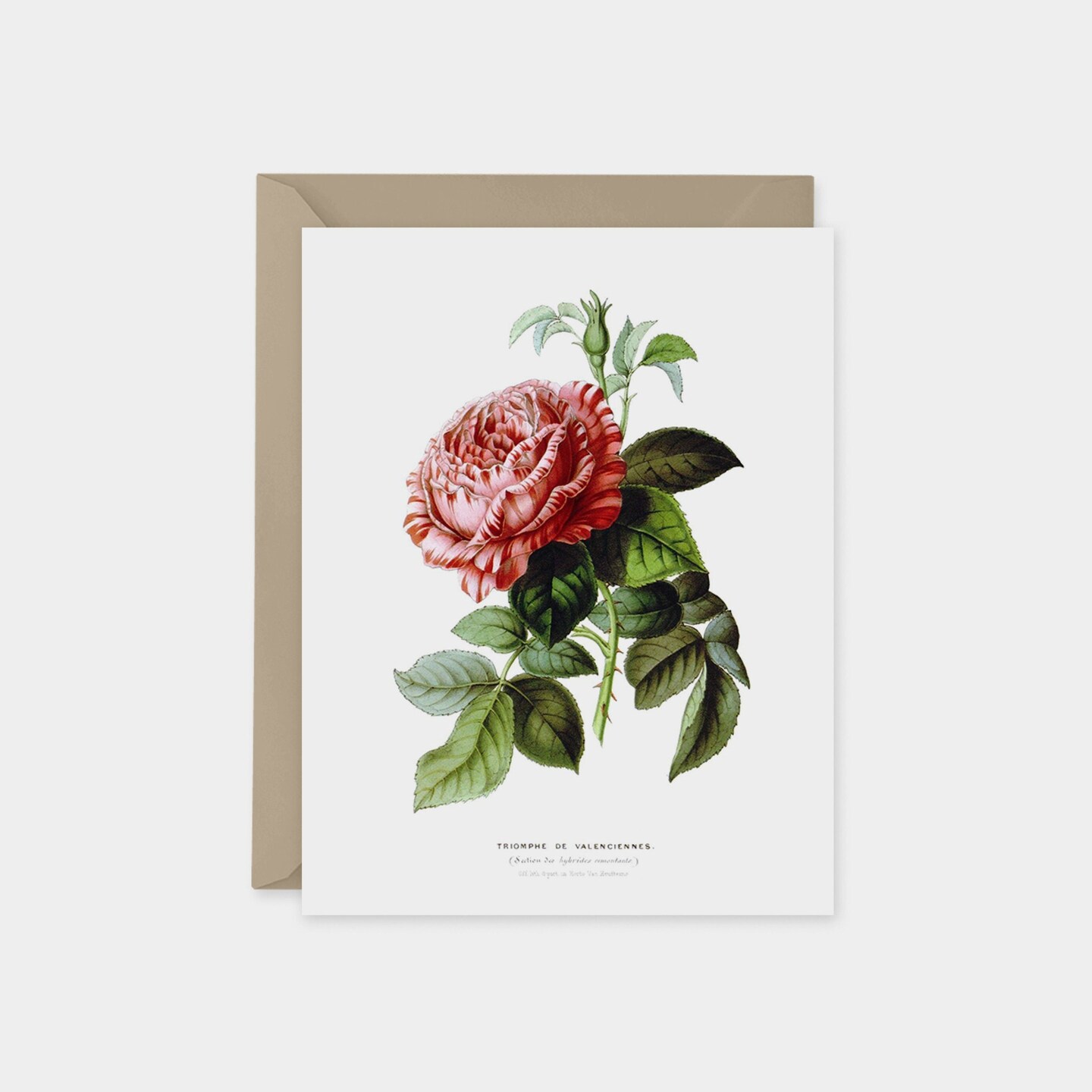 Custom Art Cards, Vintage Botanical Card | Michaels