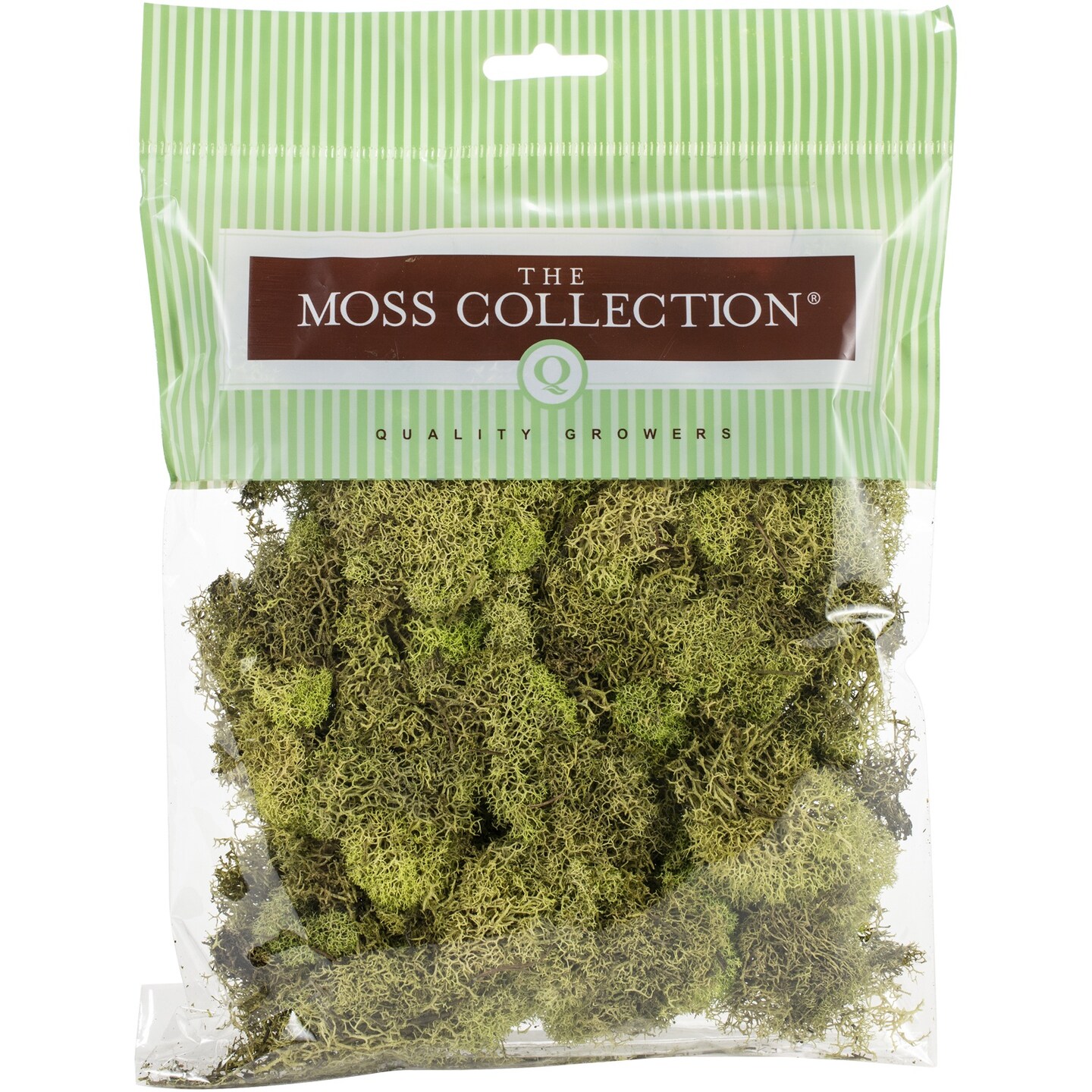 Multipack of 24 - Quality Growers Preserved Reindeer Moss 108.5 Cubic ...