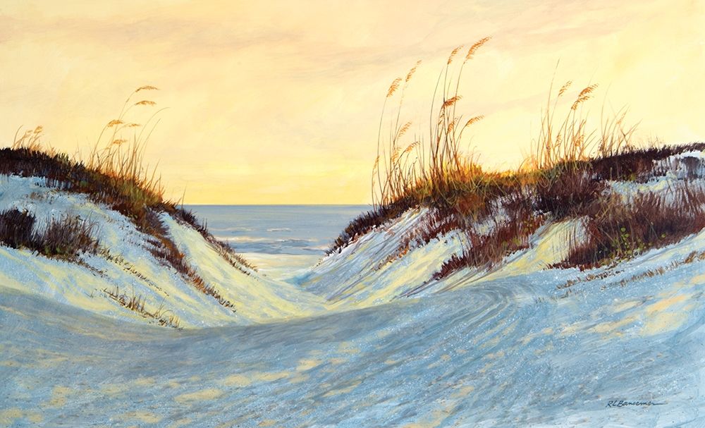 Dune Blush by Roger Bansemer - Item # VARPDXBA1080 | Michaels