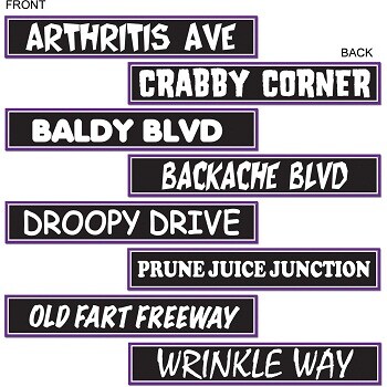 Over The Hill Street Sign Cutouts | Michaels
