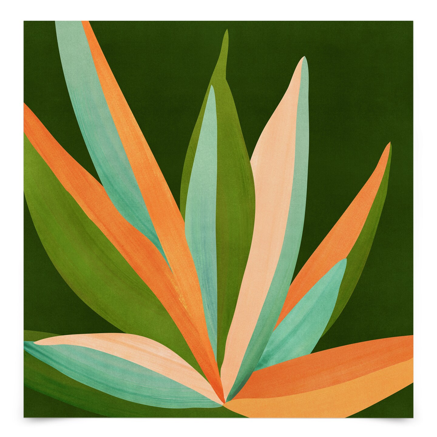 Minimalist Agave Print by Modern Tropical 10x10 Poster - Americanflat ...
