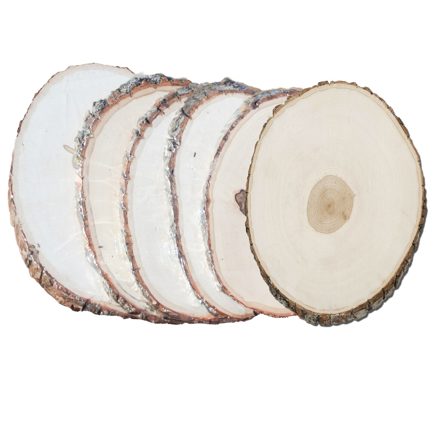 Wilson Basswood Standard Grade Plaque Packs | Michaels