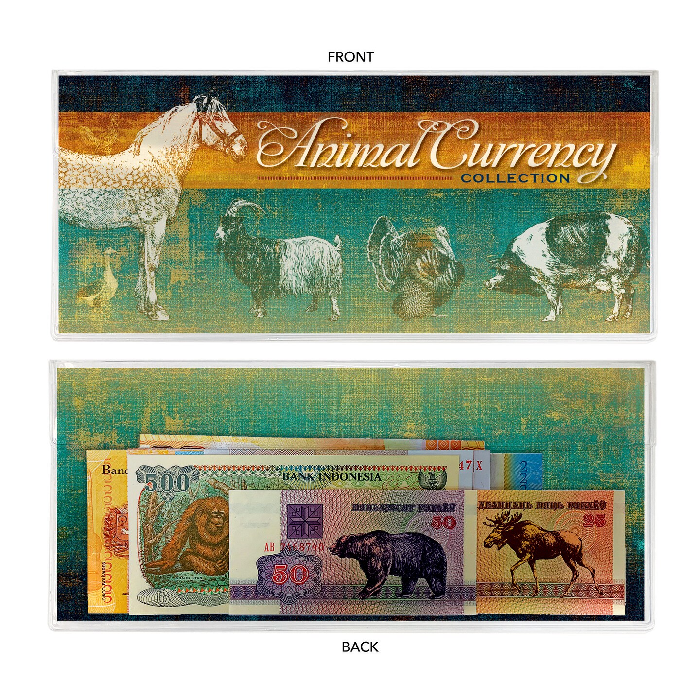 Animal Currency From Around The World | Michaels