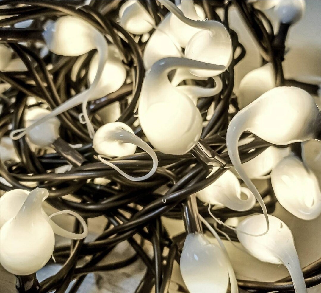 Ivory Hand Dipped LED String Lights 50 ct. Light Strand | MakerPlace by ...