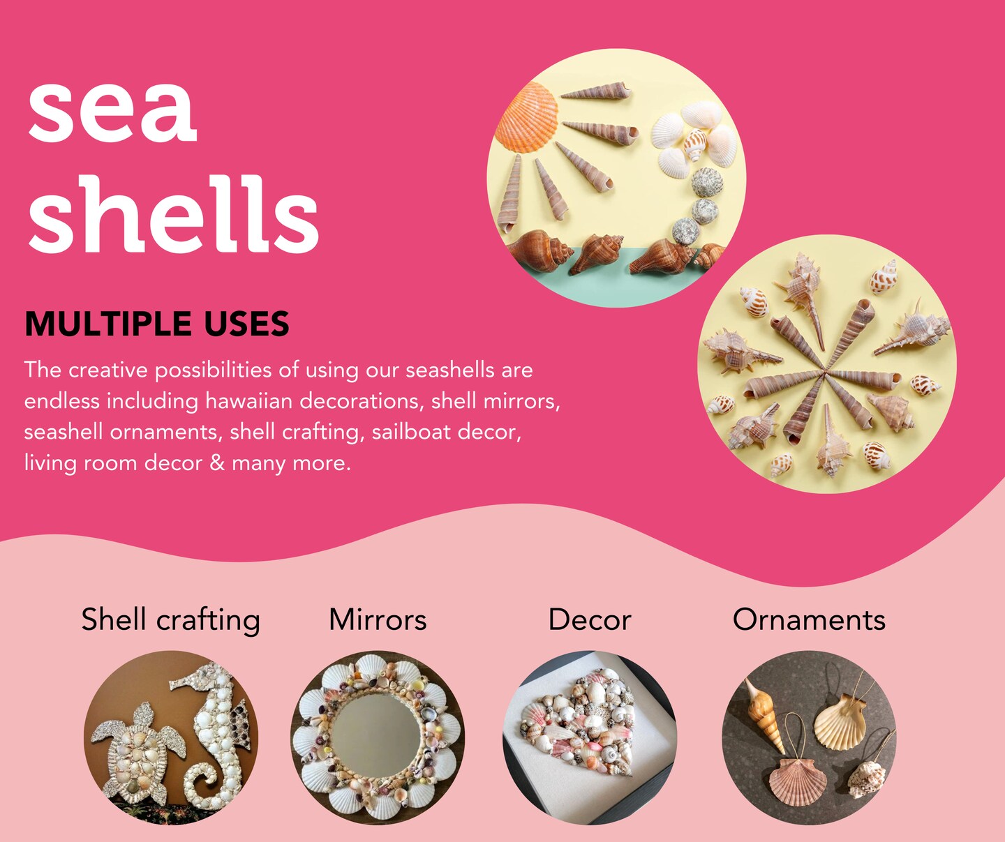 Incraftables Sea Shells (200pcs) Set for DIY Decoration & Crafts ...