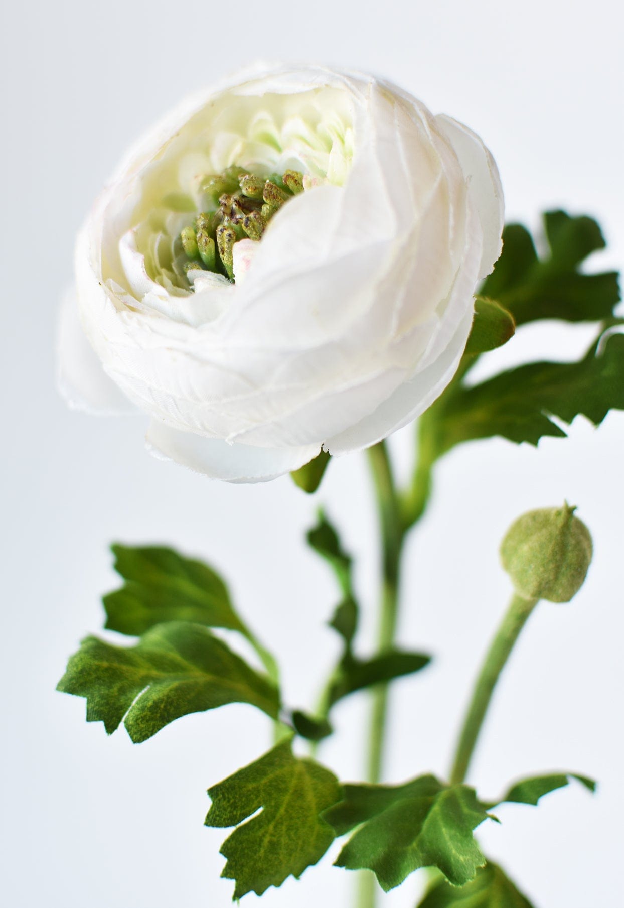 13" Faux White Ranunculus Stem | Michaels
