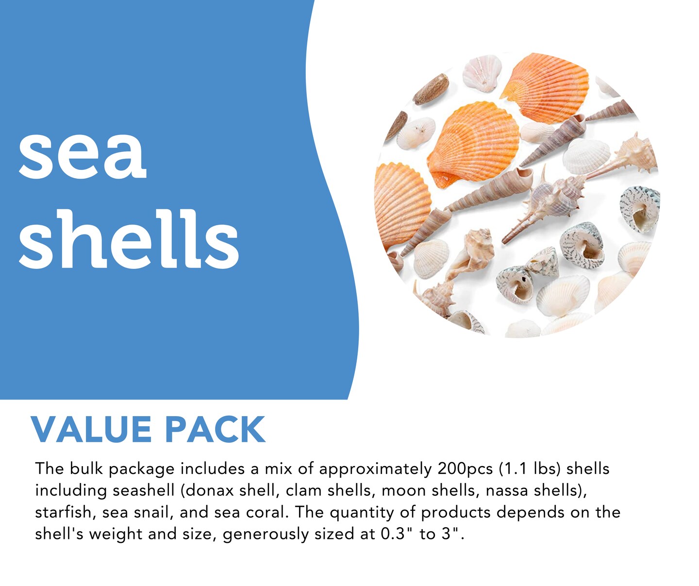 Incraftables Sea Shells (200pcs) Set for DIY Decoration & Crafts ...