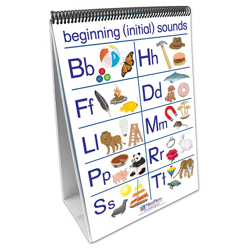 Early Childhood ELA Readiness Flip Chart, Phonemic Awareness | Michaels