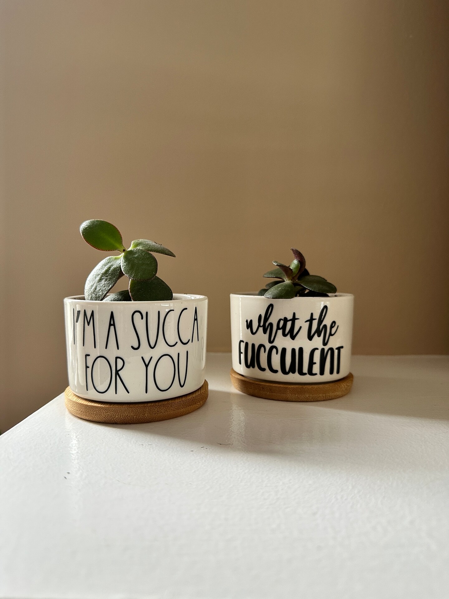 Mini Planters, Funny Planter, Mothers Day Gift, Indoor Plant Pot ...