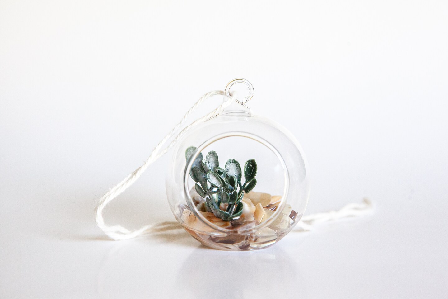 Small Round Glass Terrarium with Polished Shell Pieces and Artificial ...