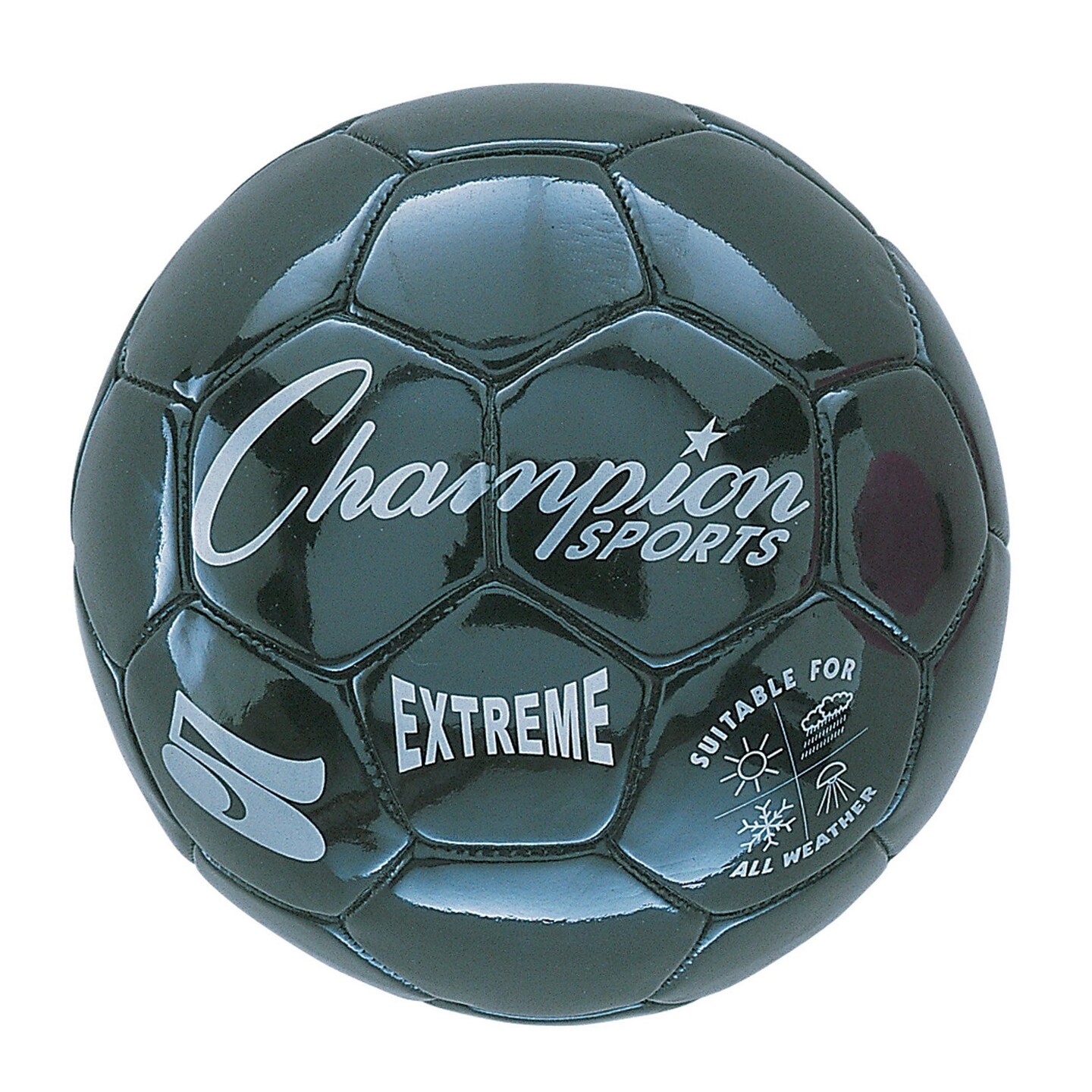 Extreme Soccer Ball, Size 5, Black | Michaels