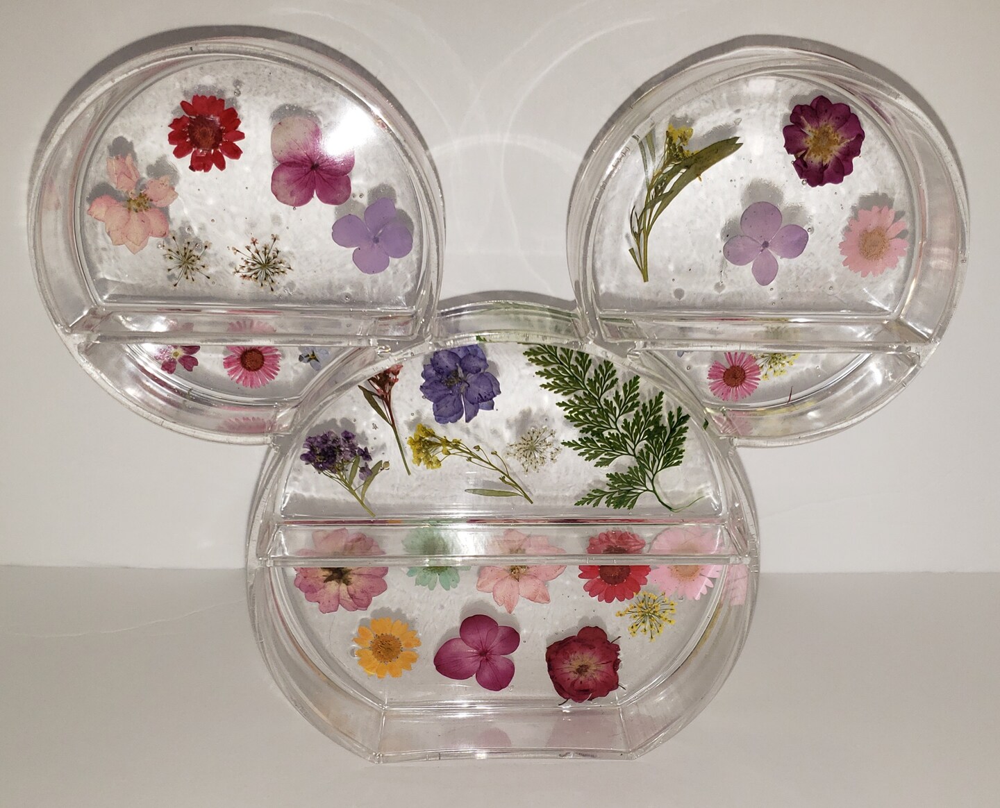 Handmade Handcrafted Mickey Mouse Head Shelf Clear with Real Dried ...