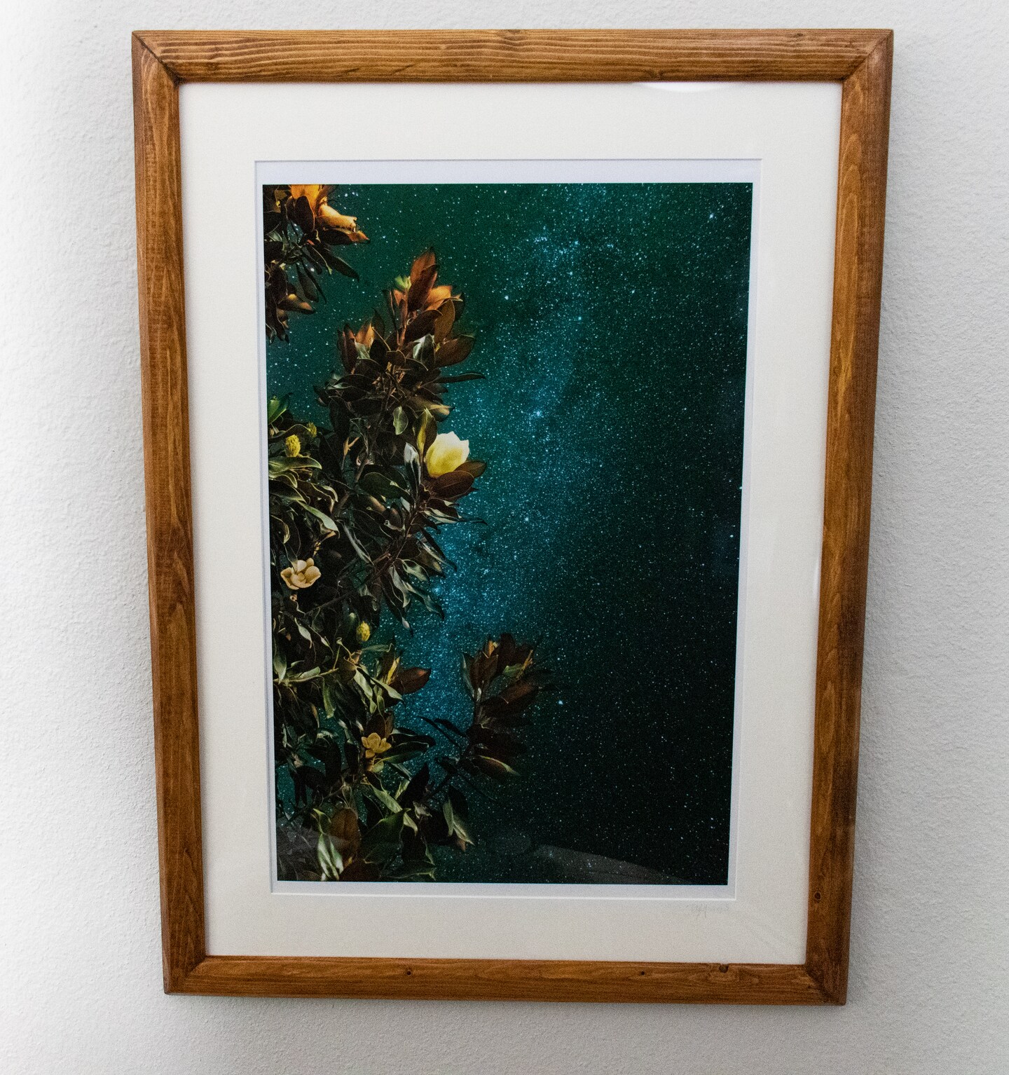 Stellar Magnolia, Custom Wood Frame, 22" x 30" | MakerPlace by Michaels