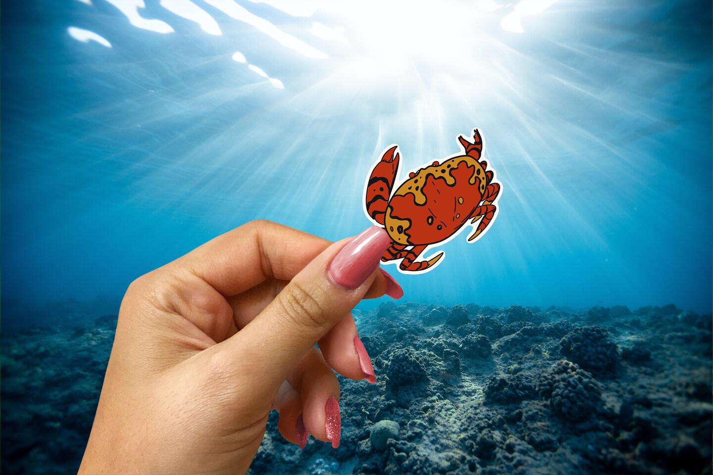 Crab Sticker, Stickers, Ocean Creature Sticker, Stickers for laptop ...