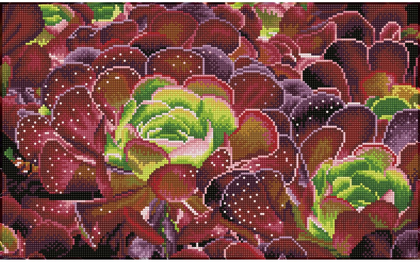 Diamond Dotz Squares Intermediate Succulents | Michaels