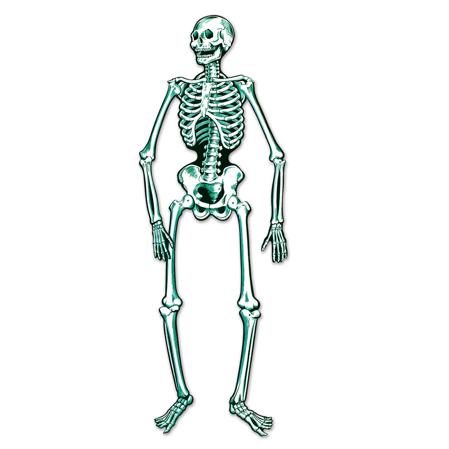Jointed Skeleton | Michaels
