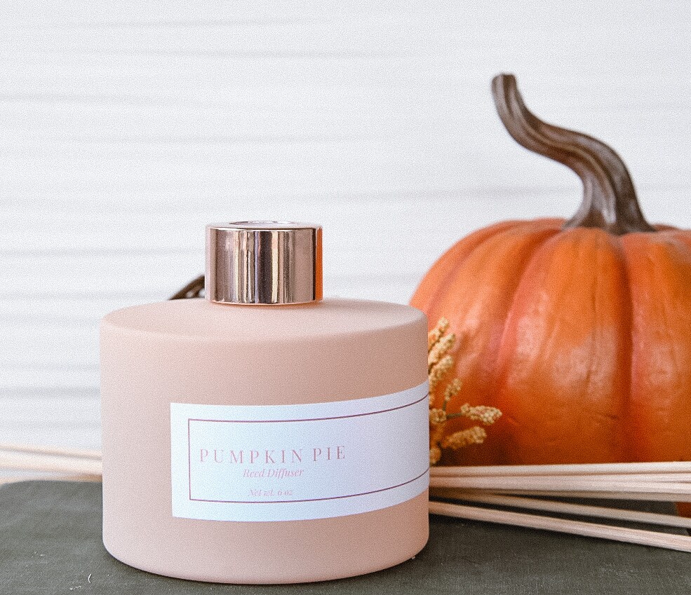 Pumpkin Pie Reed Diffuser | MakerPlace by Michaels