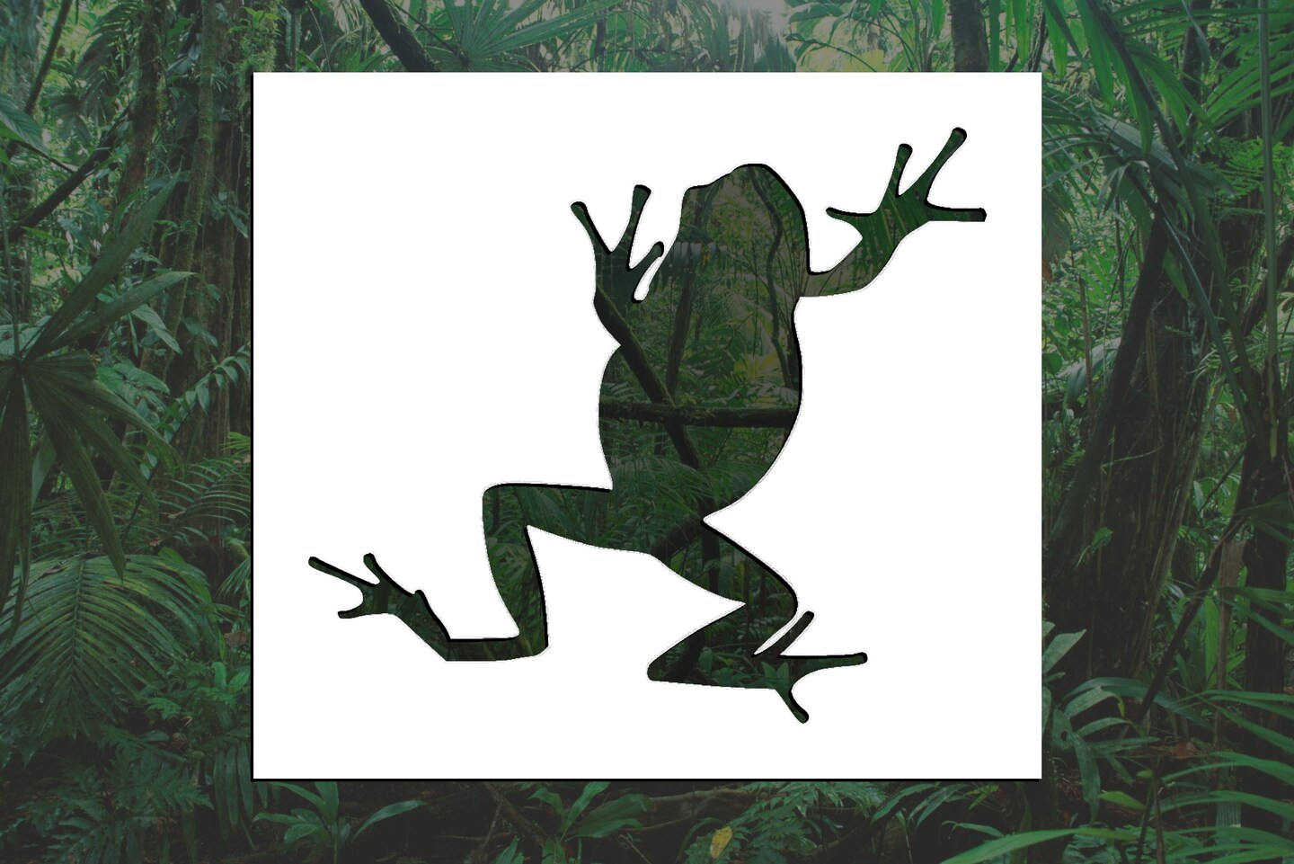 Frog Reusable Stencil (Many Sizes) | MakerPlace by Michaels