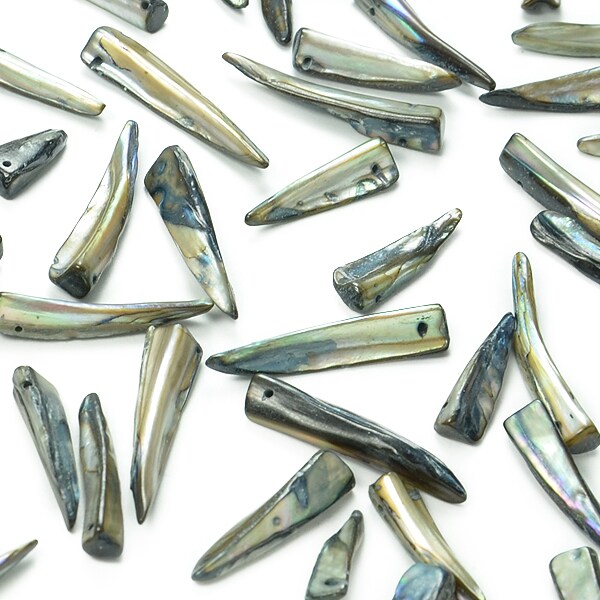 Sea Shell Spike Beads 16" Strand (62-66 ) Hand Crafted Tinted Slate ...